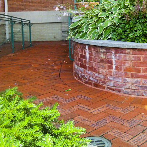 Bricks and Plaques - The Dr. Samuel D. Harris National Museum of Dentistry